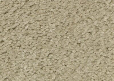 Designer Plus | Emerald Carpets